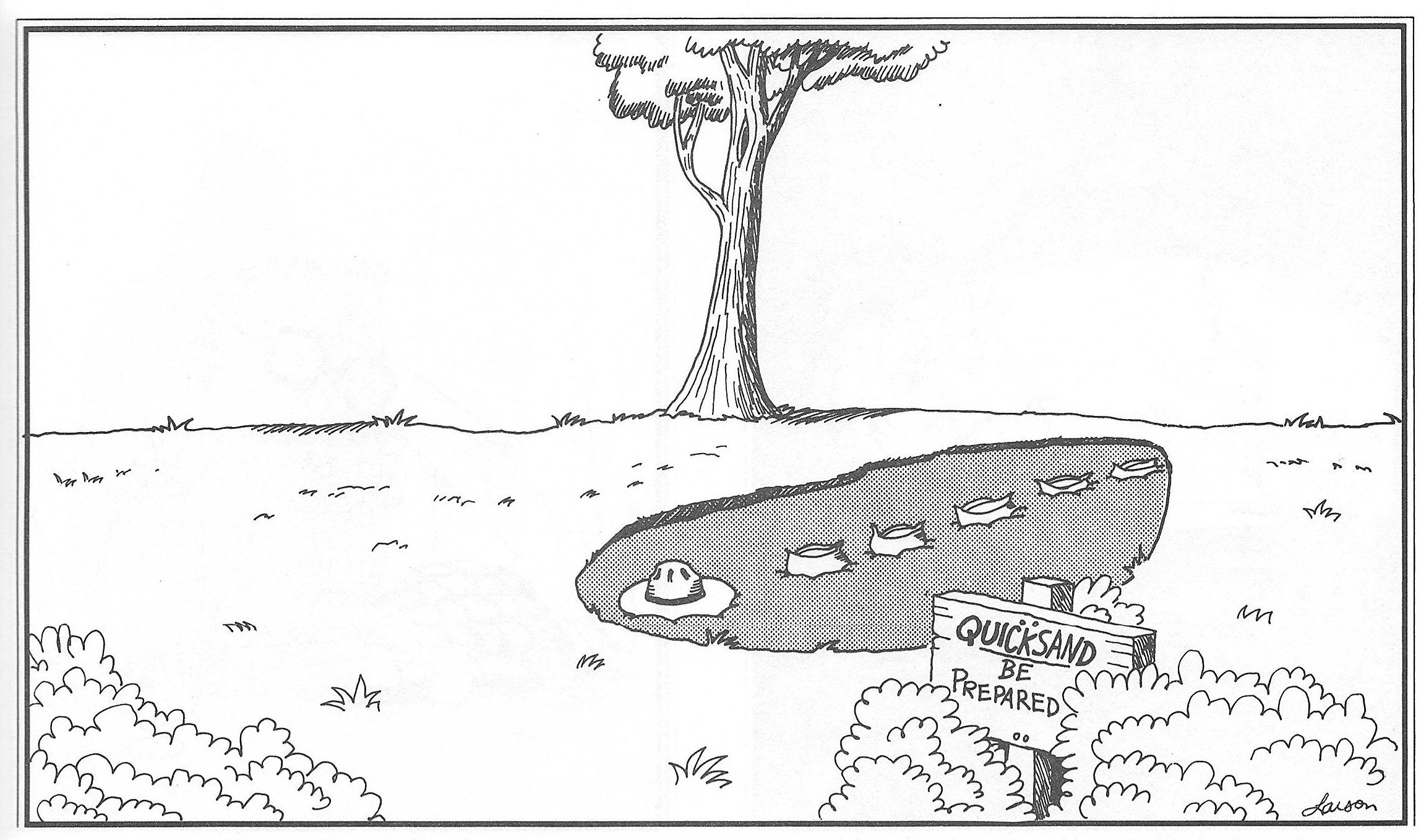 Far-side